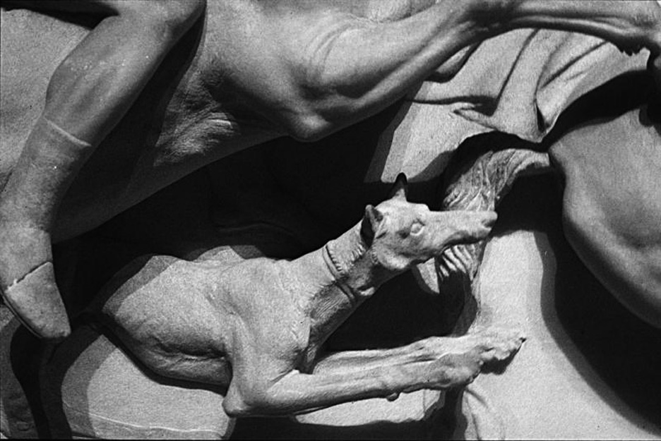Facts of the Matter: Sarabi Dogs of Alexander - Darlene N. Bocek, author