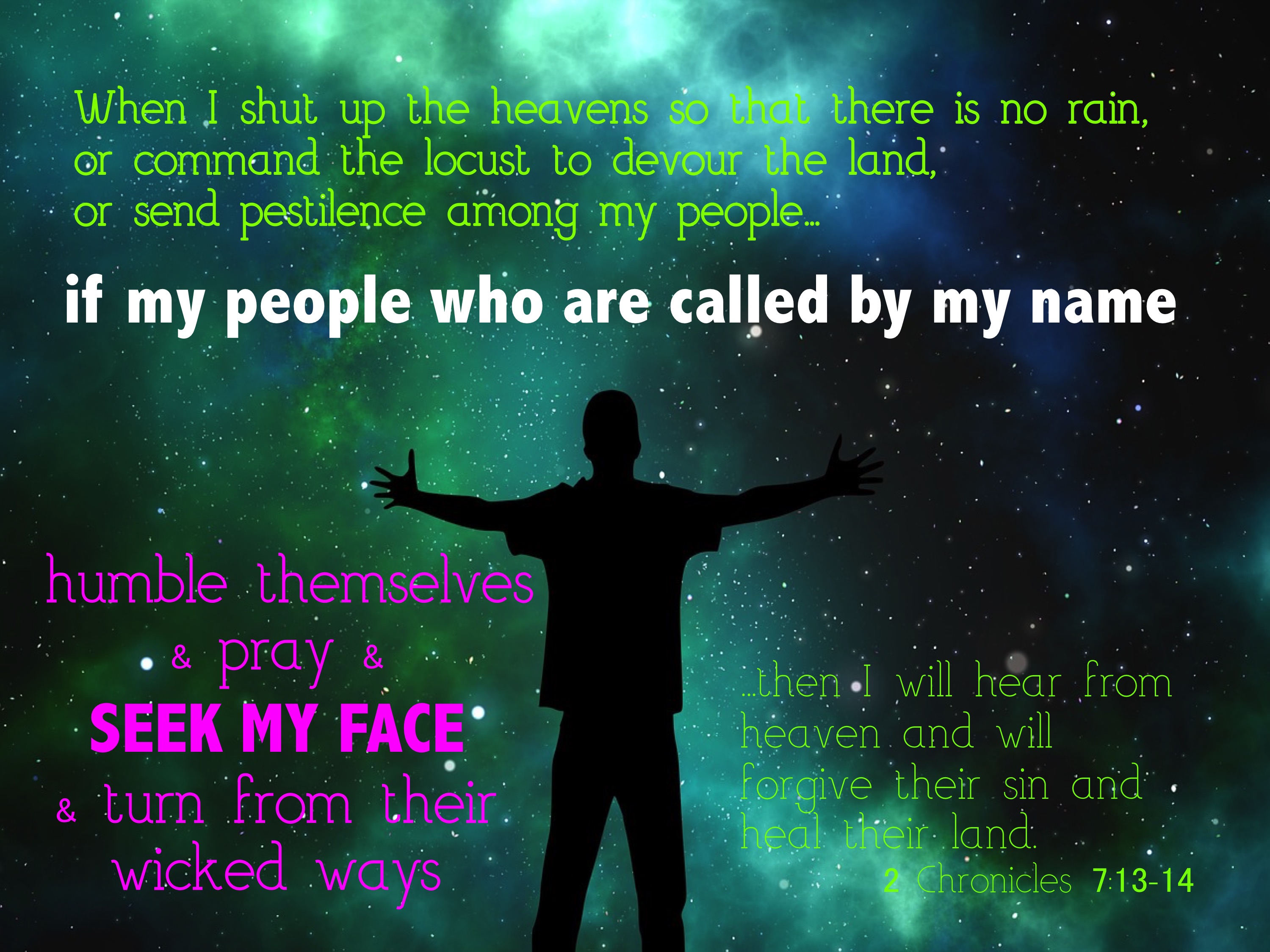 Seek My Face Darlene N Bocek Author Seek My Face Darlene N Bocek Author