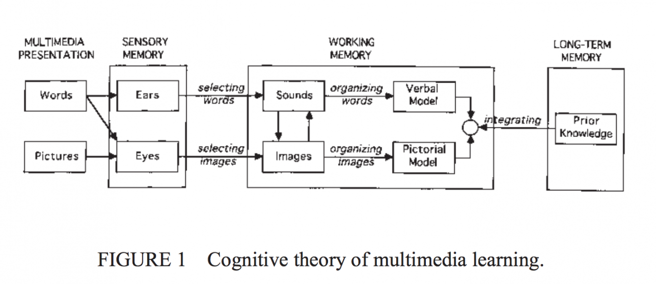 6 Best Methods for Multimedia Instruction - Darlene N. Bocek, author